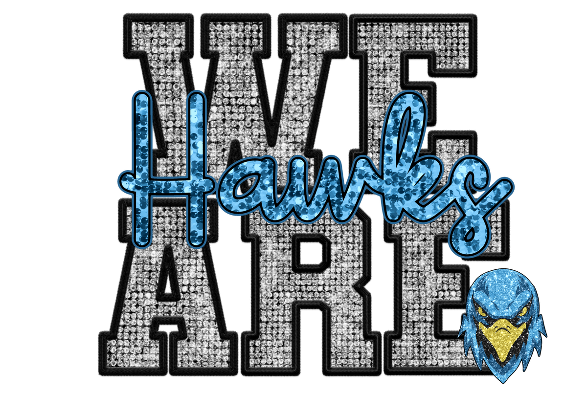 We Are Hawks Sequins DTF Transfer- SP31 | My Vinyl Craft